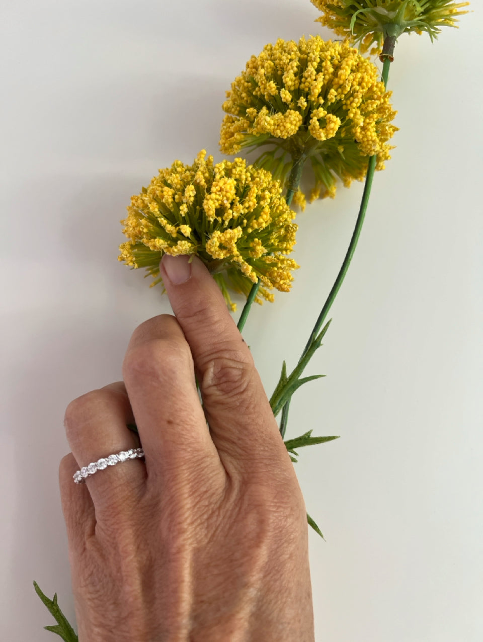 Eternity Ring | Kate – QUEEN & GRACE